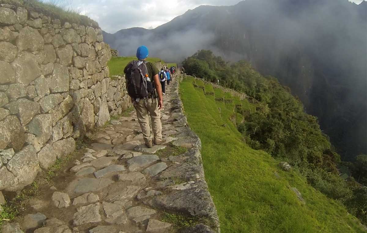 Classic Inca Trail from Cusco - Machu Picchu Alpaca